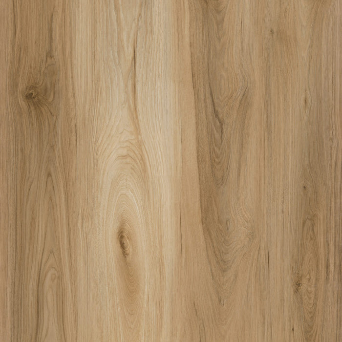 Chateau 8mm 28 Mil EIR painted Bevel SPC Xulon