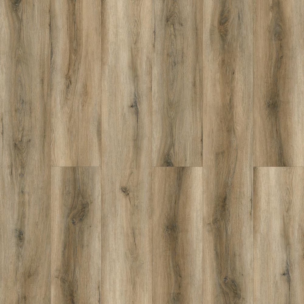 Wilshire 20 Mil EIR painted Bevel LVP Waterproof Xulon
